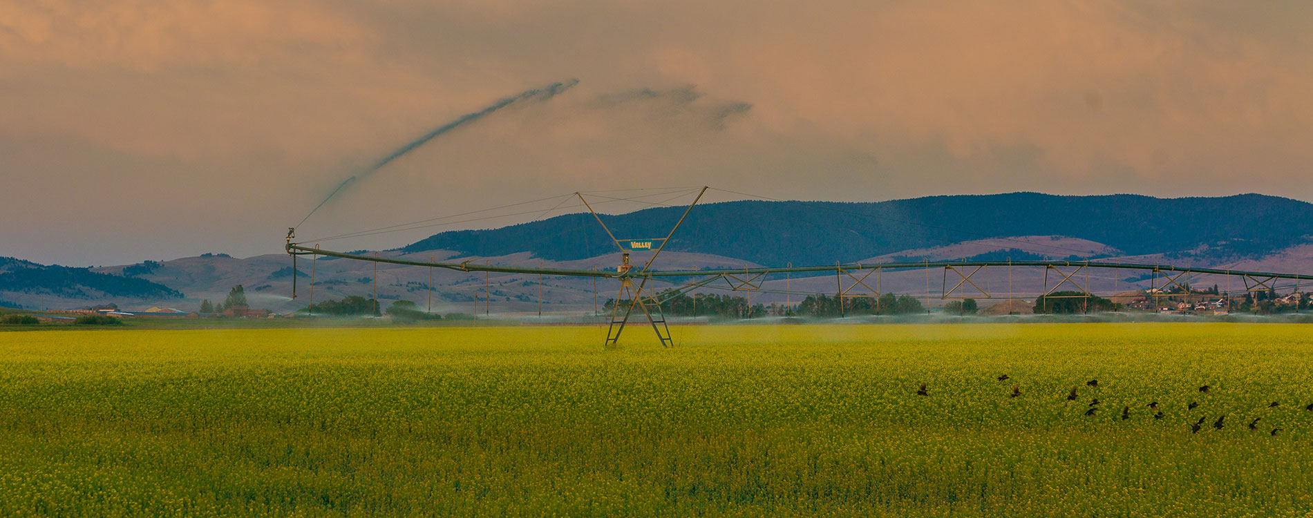 Sandfire News Releases | Sandfire Resources America Inc.